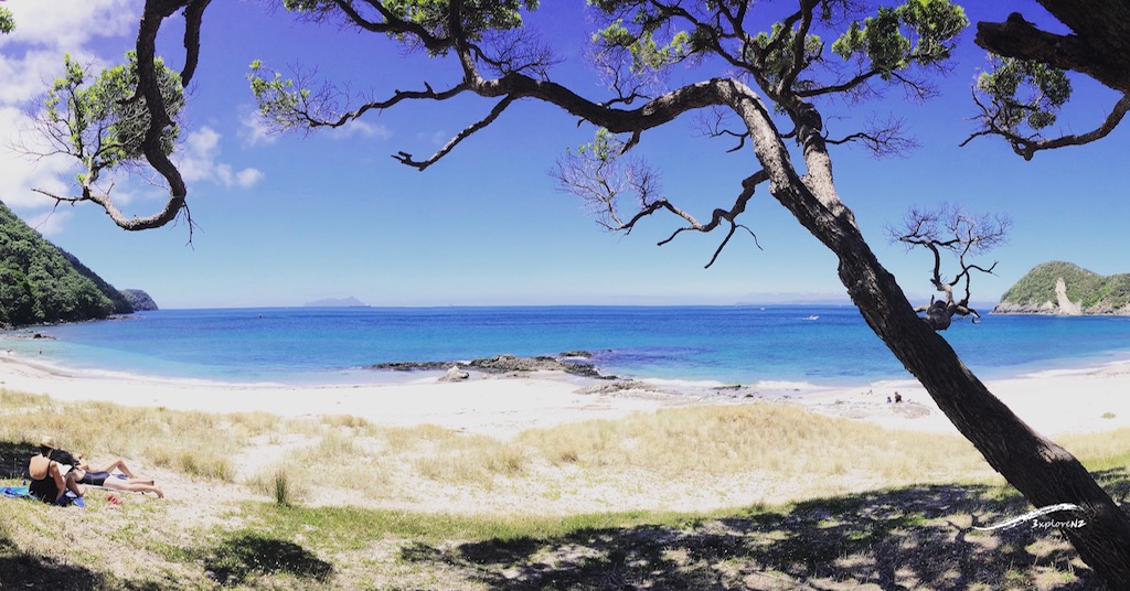 Bream Head Reserve - Adventure in paradise